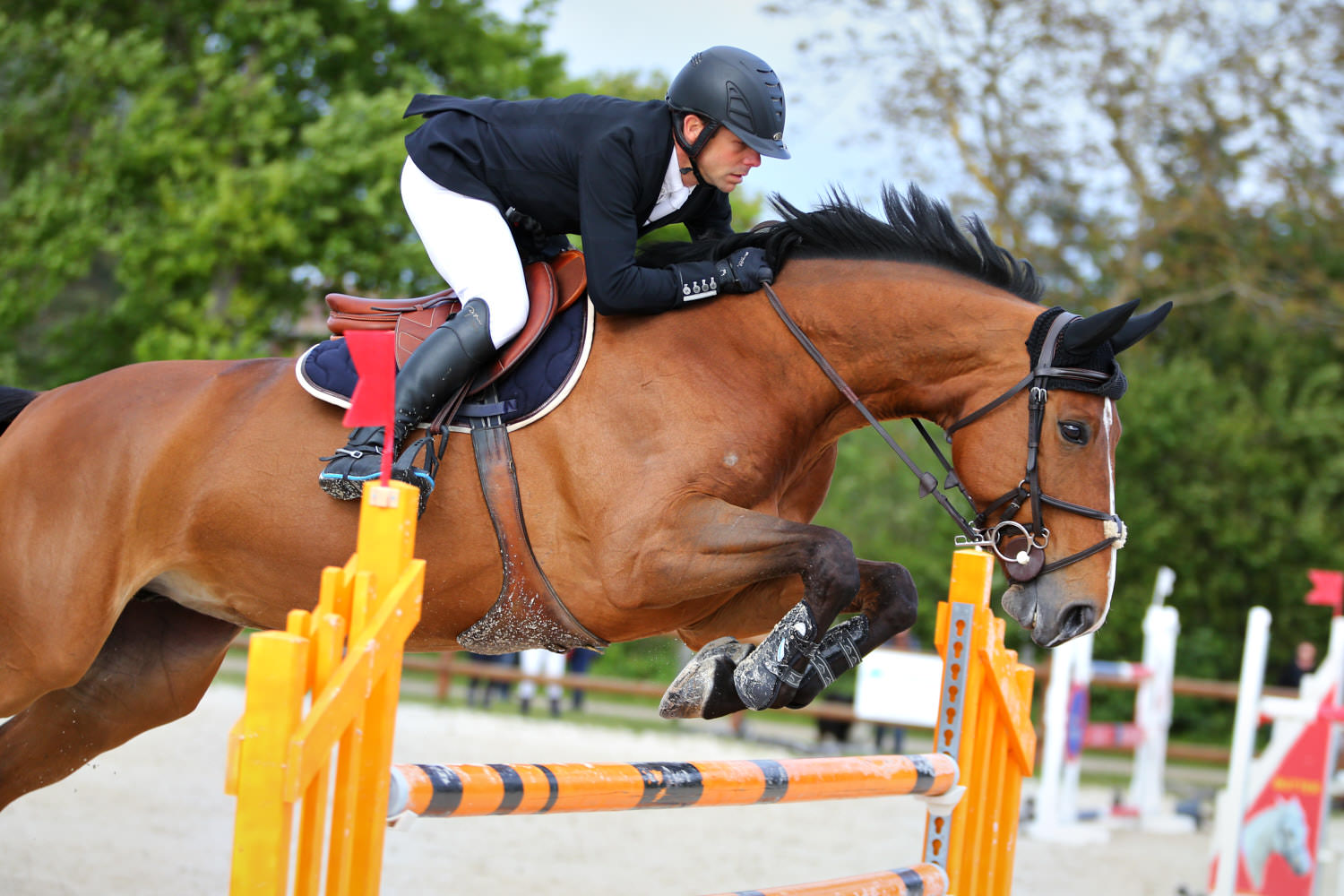 26 au 28 Avril 2019 - Sablons - CSO Chevaux - Événements - Yann Quéniart