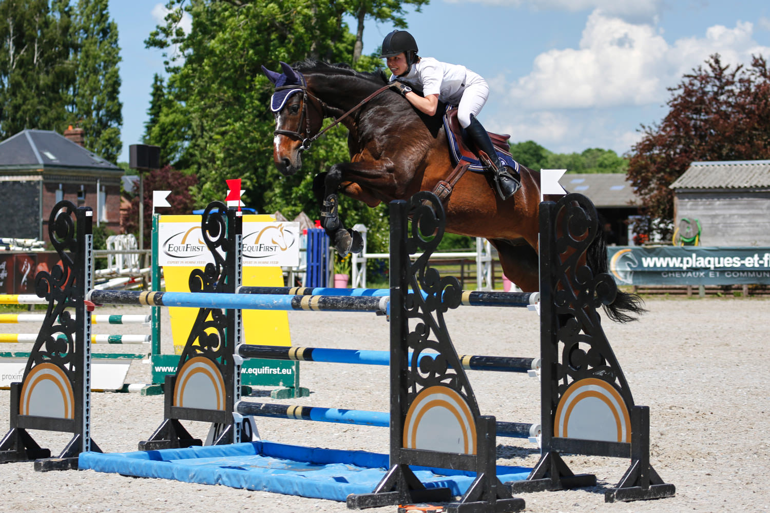 30 Mai 2019 au 2 Juin 2019 - Ecuries Lefebvre - CSO Chevaux ...