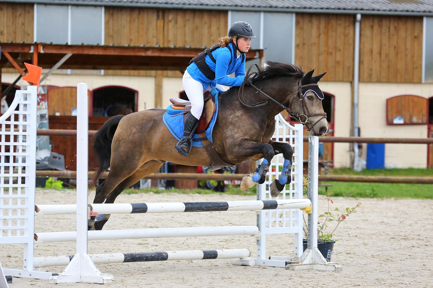 2 Octobre 2022 : Parc équestre des Sablons, Val de Reuil - CSO Club ...